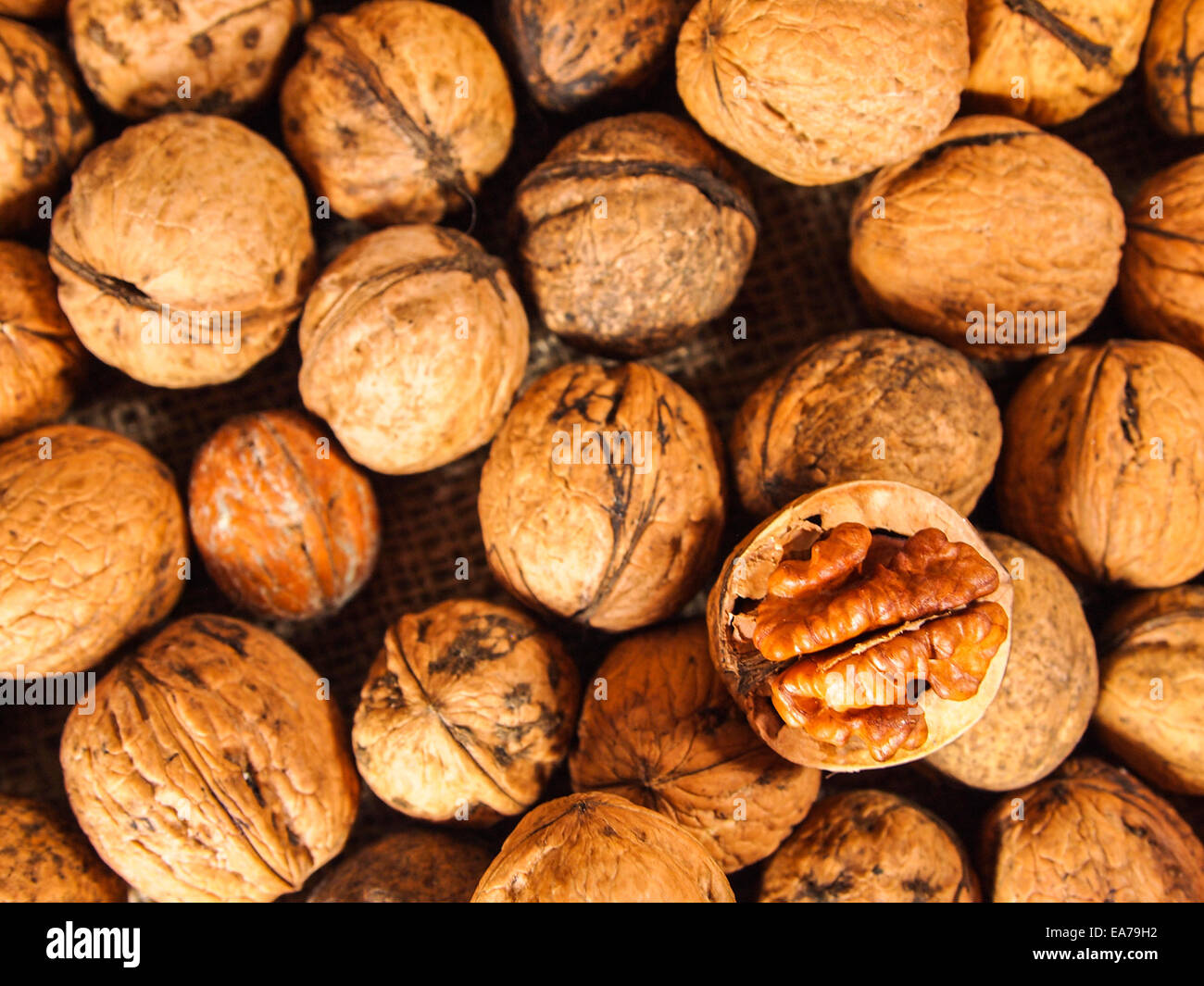 Drying fresh walnut hi-res stock photography and images - Alamy