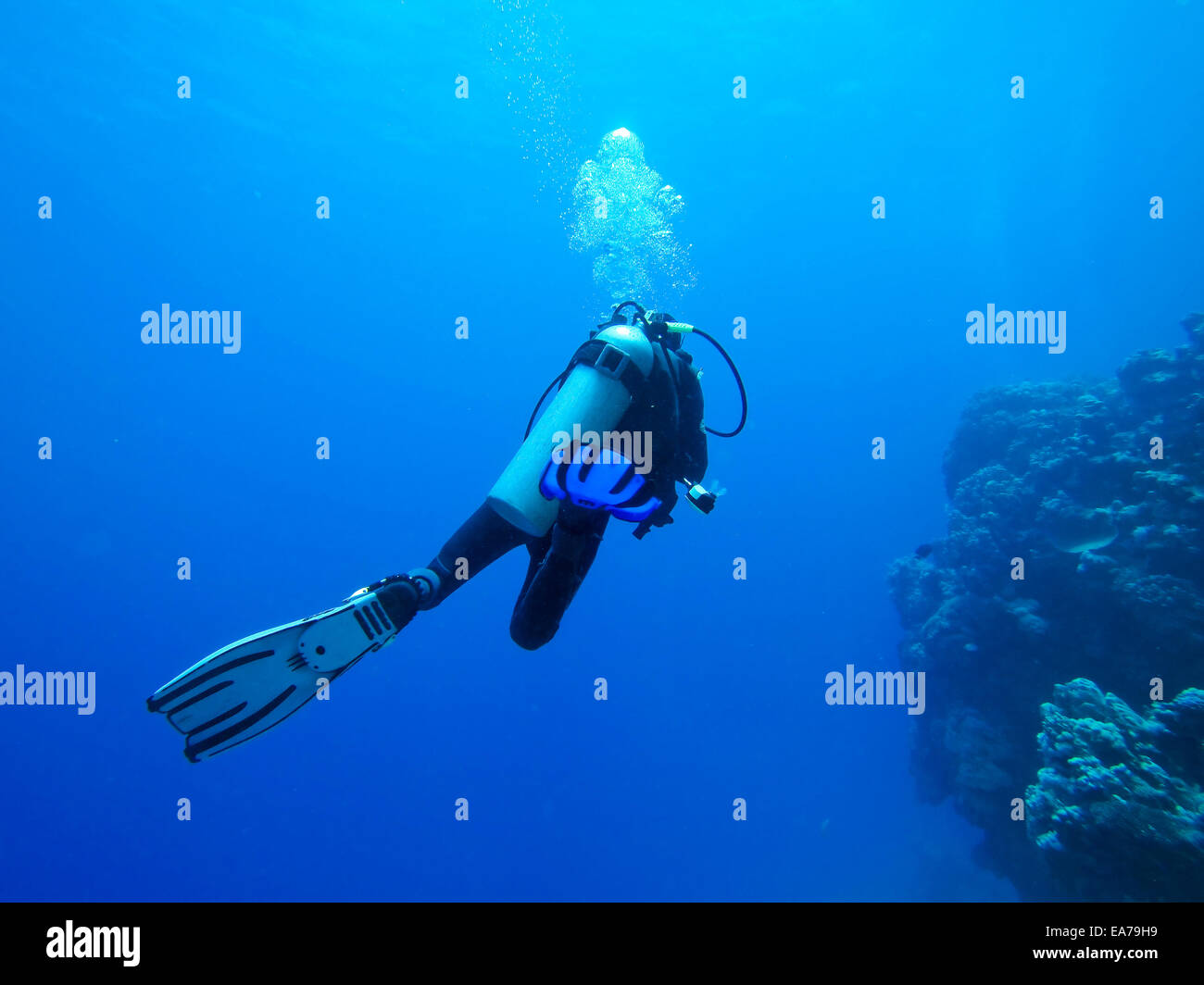 Scuba model woman hi-res stock photography and images - Alamy