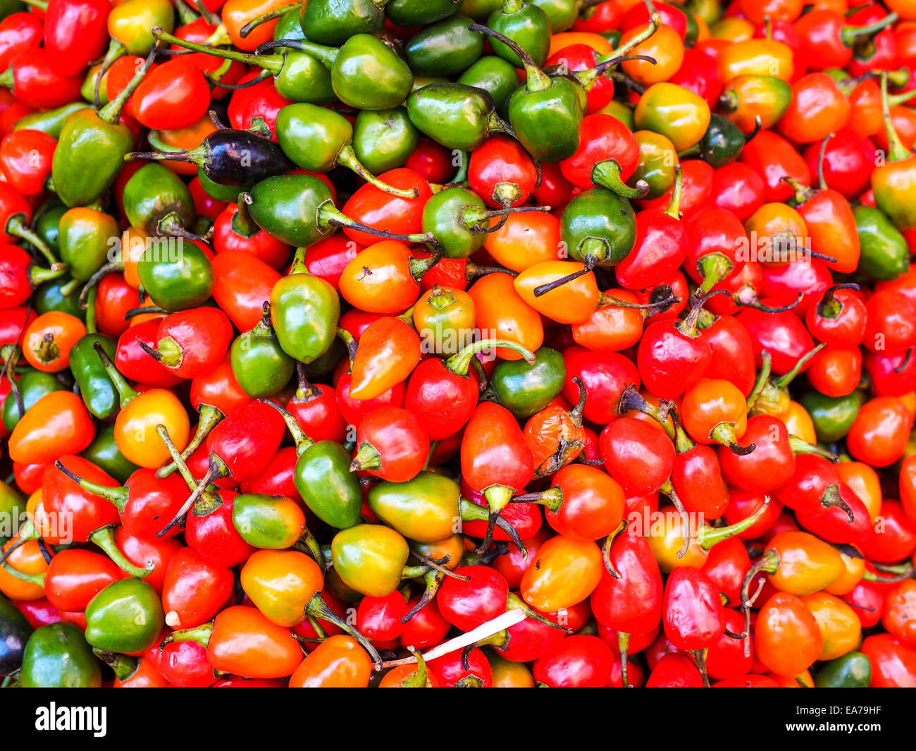 asia asian background bell burning capsicum cayenne chili chilli ...