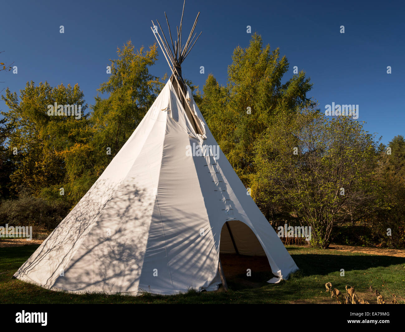 Alberta canada teepee hi-res stock photography and images - Alamy