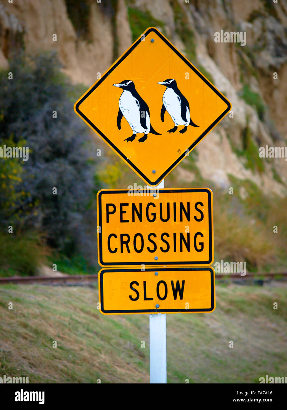 Penguin warning sign new zealand hi-res stock photography and images ...