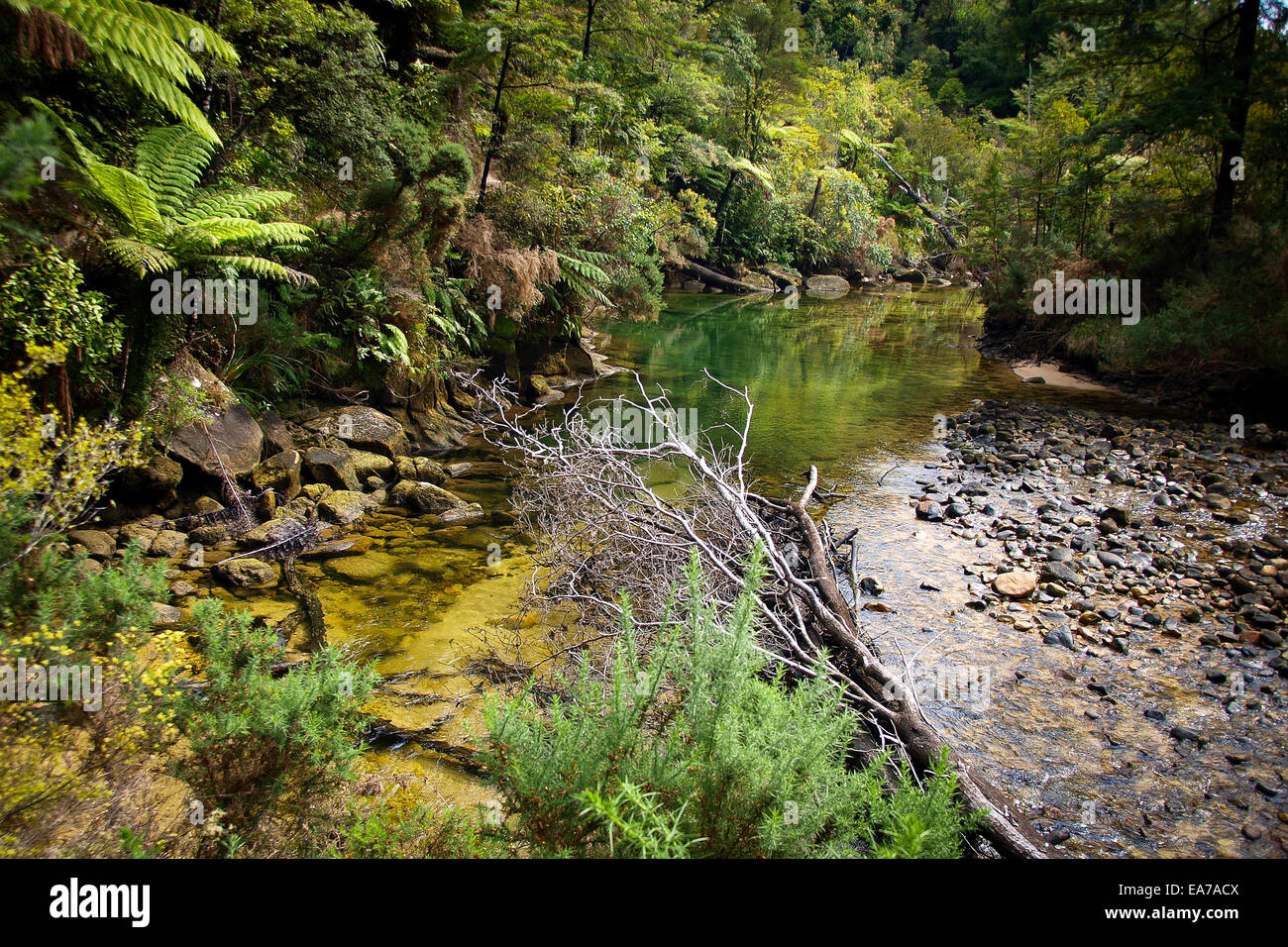 small river in New Zealand Stock Photo - Alamy
