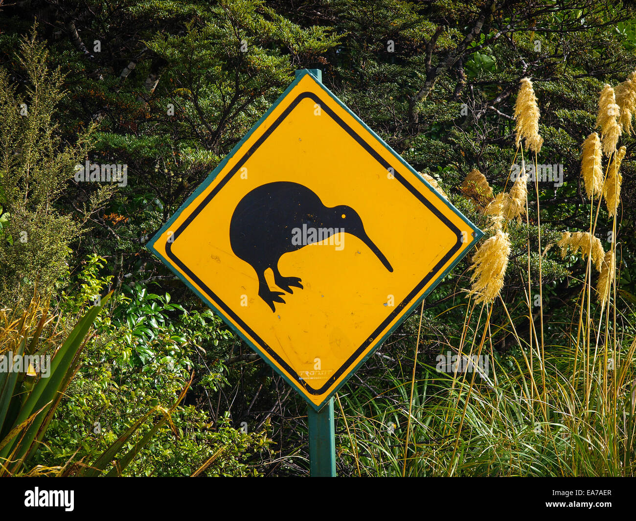 Kiwi crossing road sign Stock Photo - Alamy