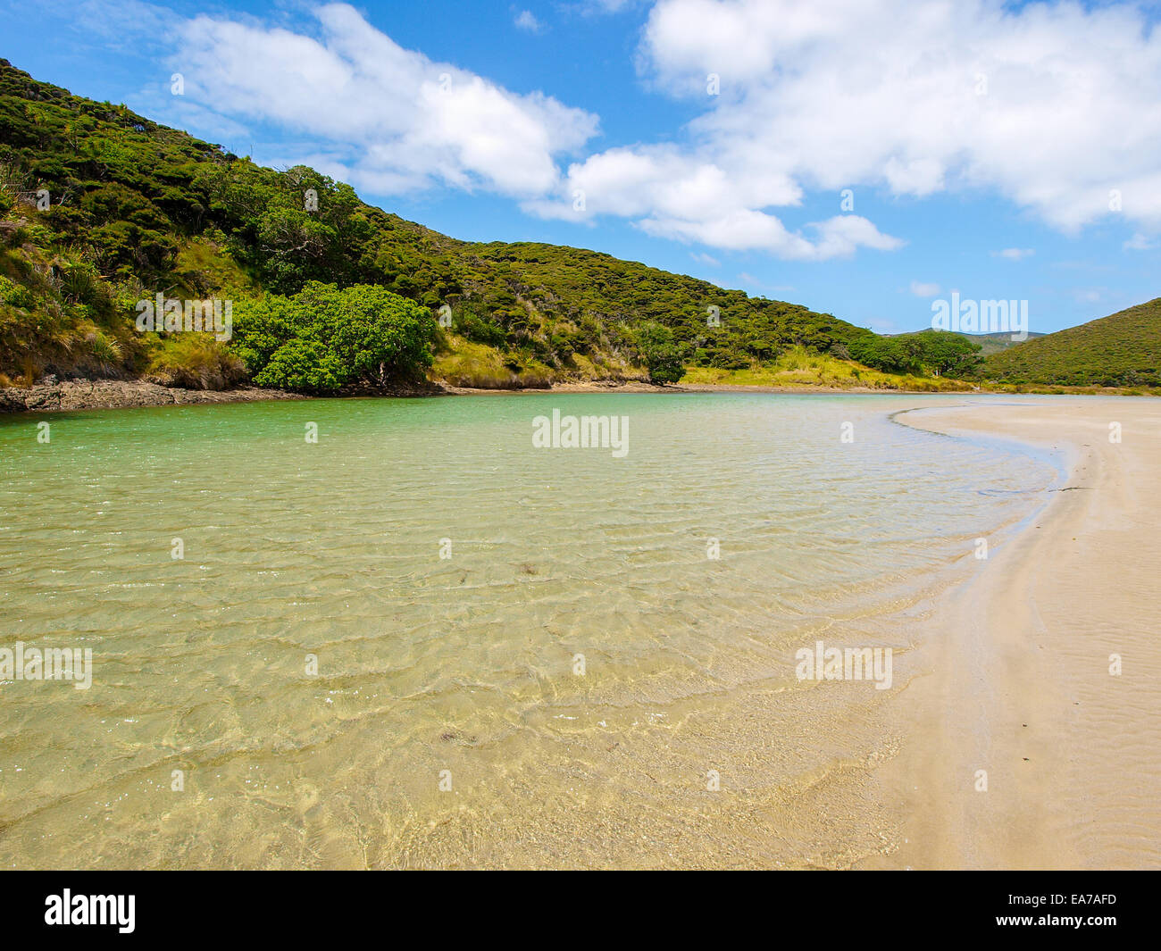 Beautiful Sandy Bay beach in New Zealand. Incredible orange sand and ...