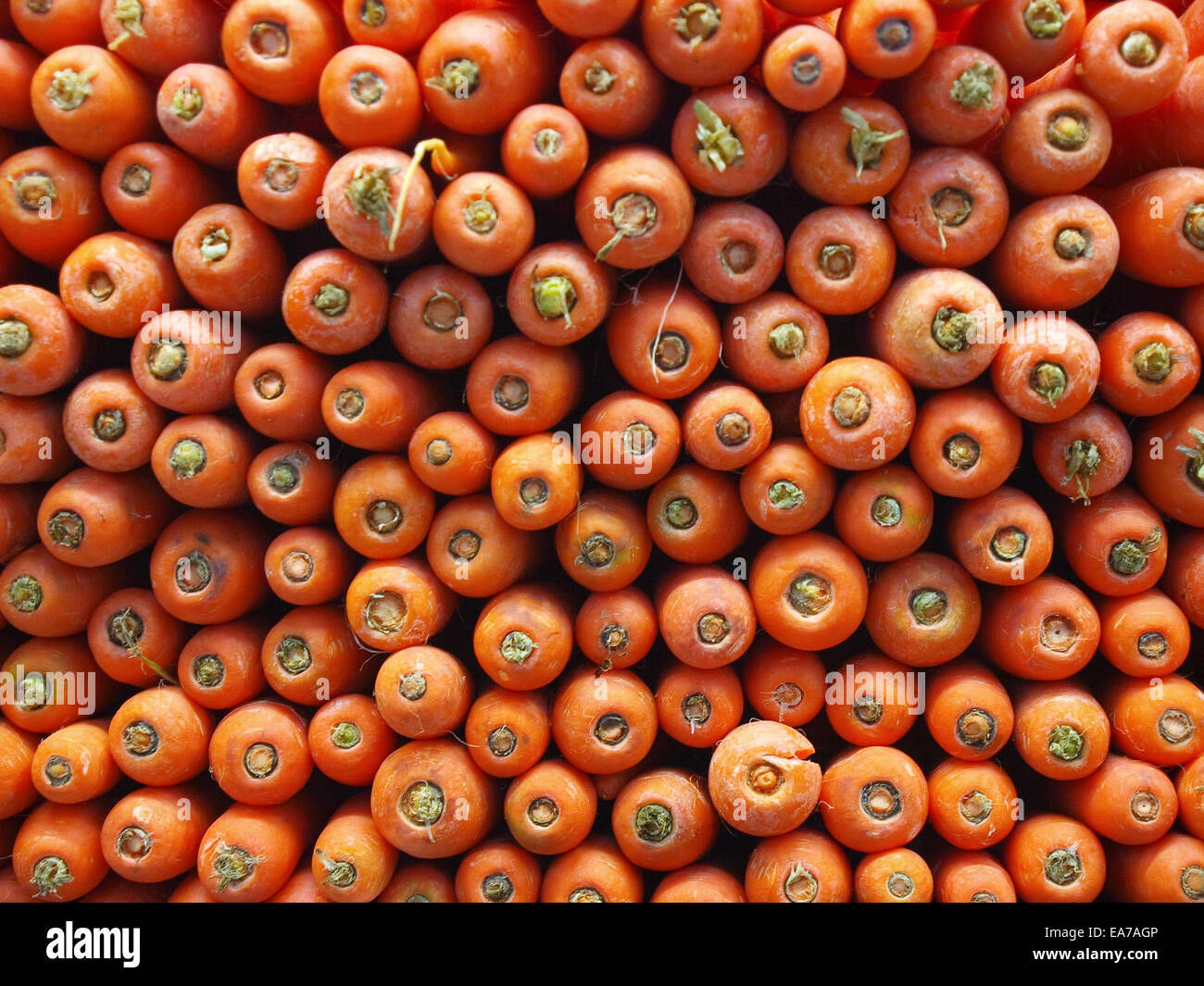 Fresh carrots piled high on a market stall Stock Photo - Alamy