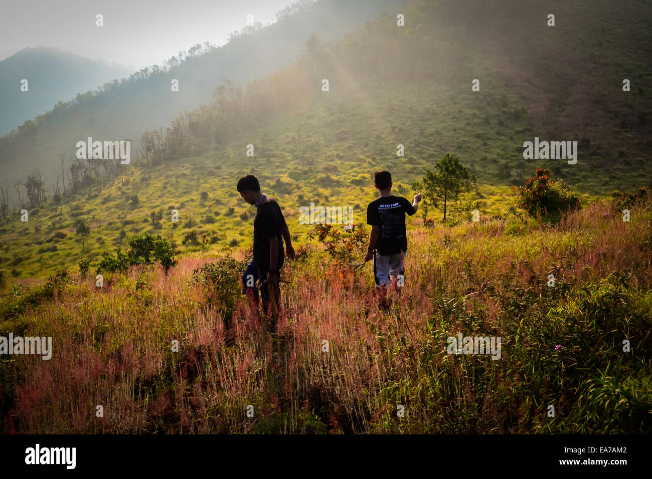 Young climbers wandering on mountain grassland atop Mount Guntur, an ...