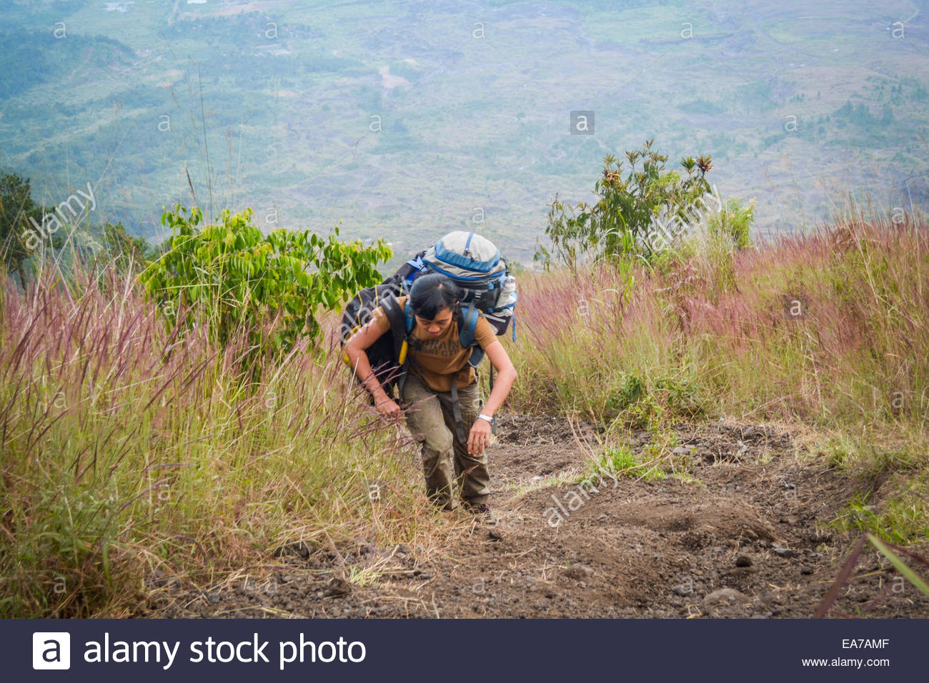 Java Island Hiking High Resolution Stock Photography and Images - Alamy