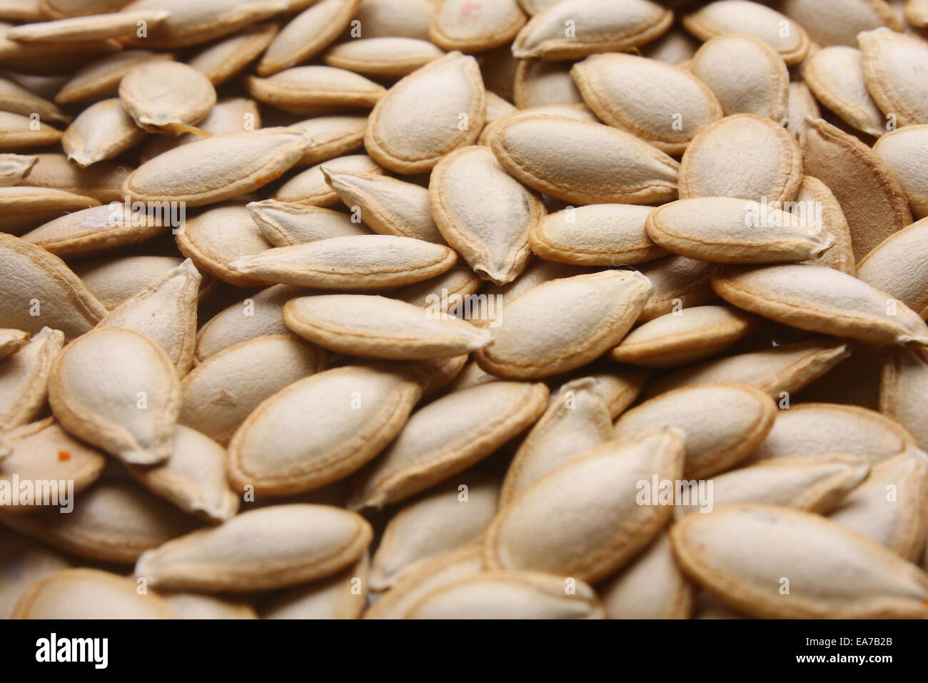 Seeds of Pumpkin Stock Photo - Alamy