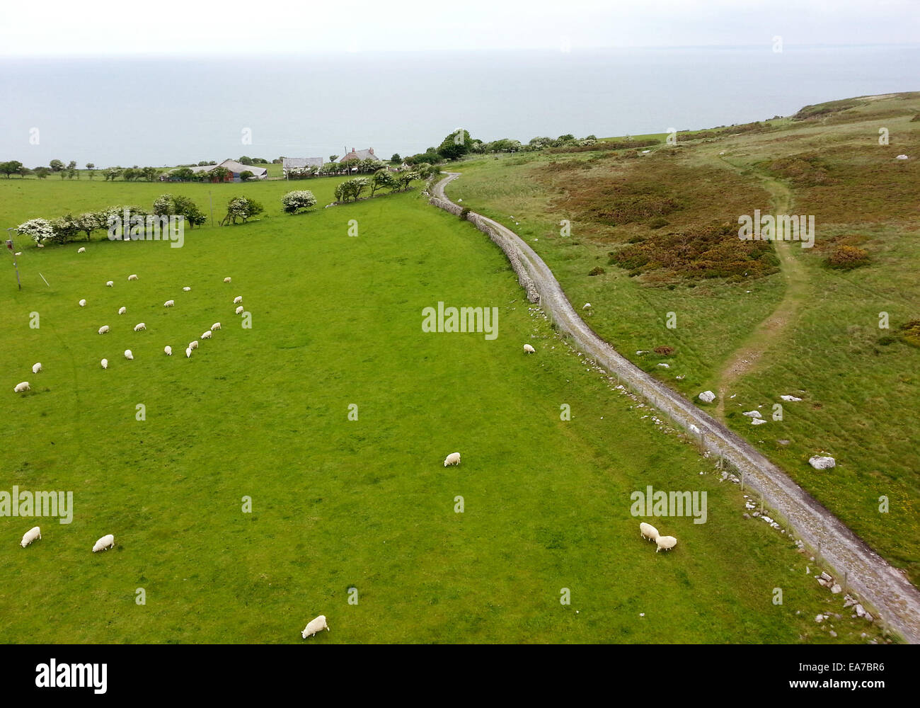 Llandudno, WALES, BRITAIN. 22nd May, 2014. Rural area near Llandudno a ...
