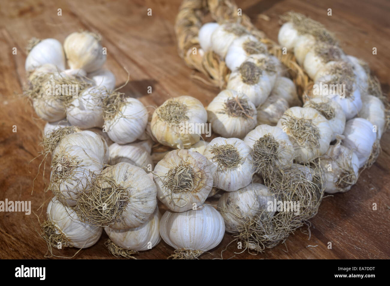 string of garlic Stock Photo - Alamy