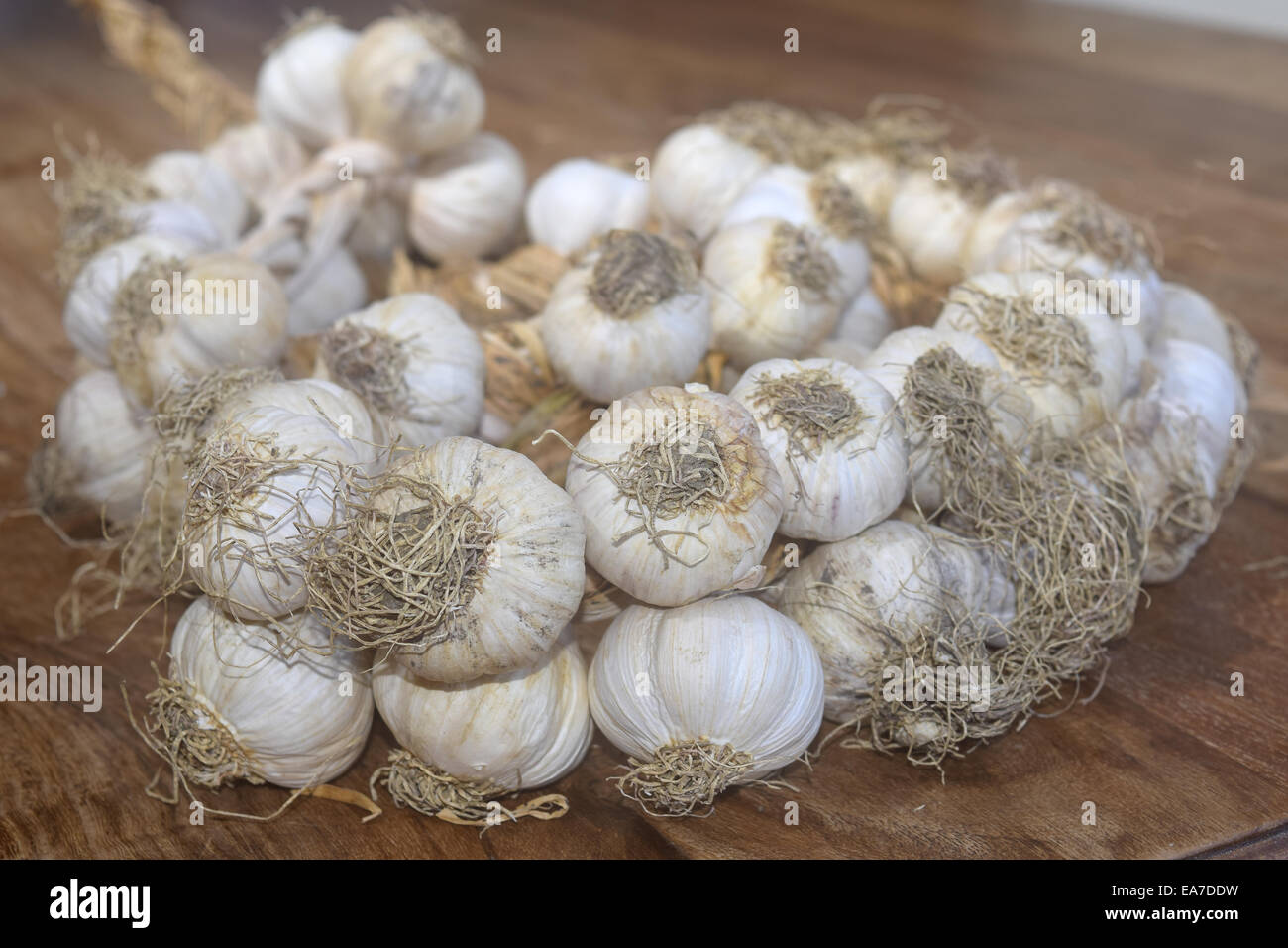 string of garlic Stock Photo - Alamy