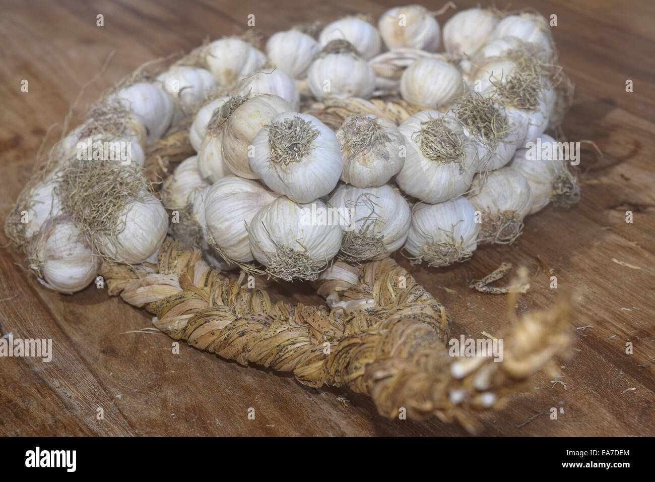 string of garlic Stock Photo - Alamy