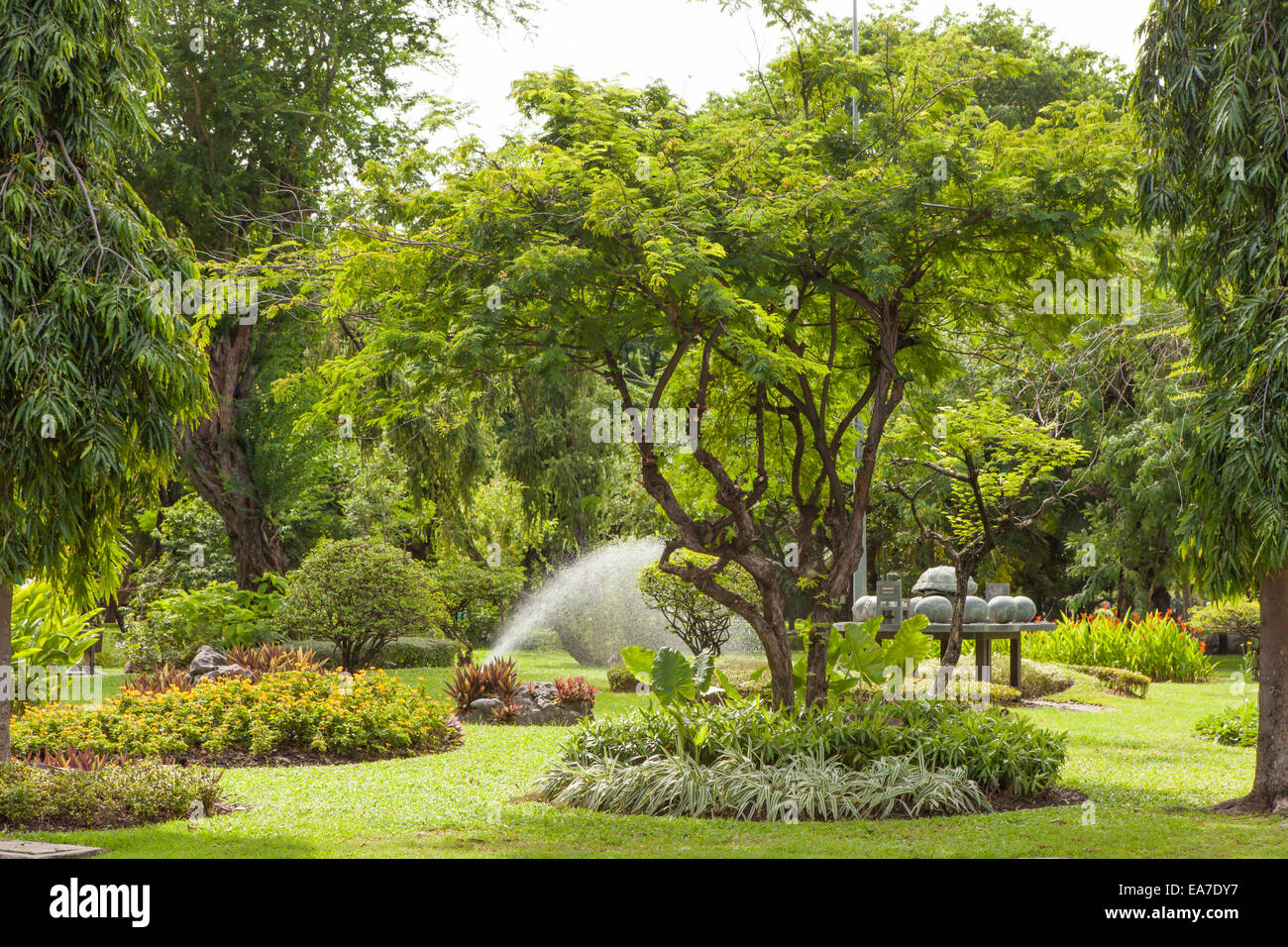 Lumpini park Bangkok, Thailand Stock Photo - Alamy