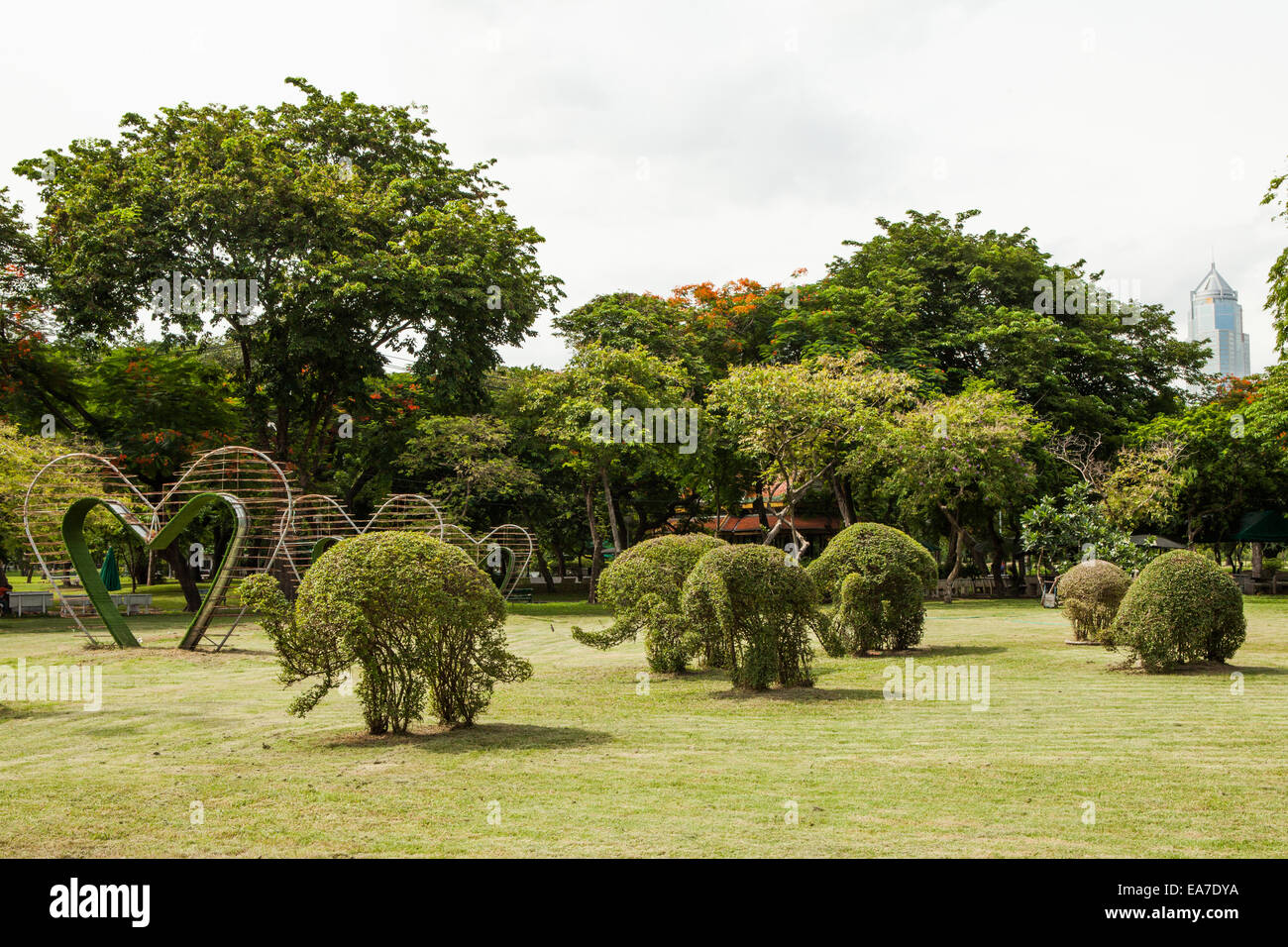 Lumpini park Bangkok, Thailand Stock Photo - Alamy