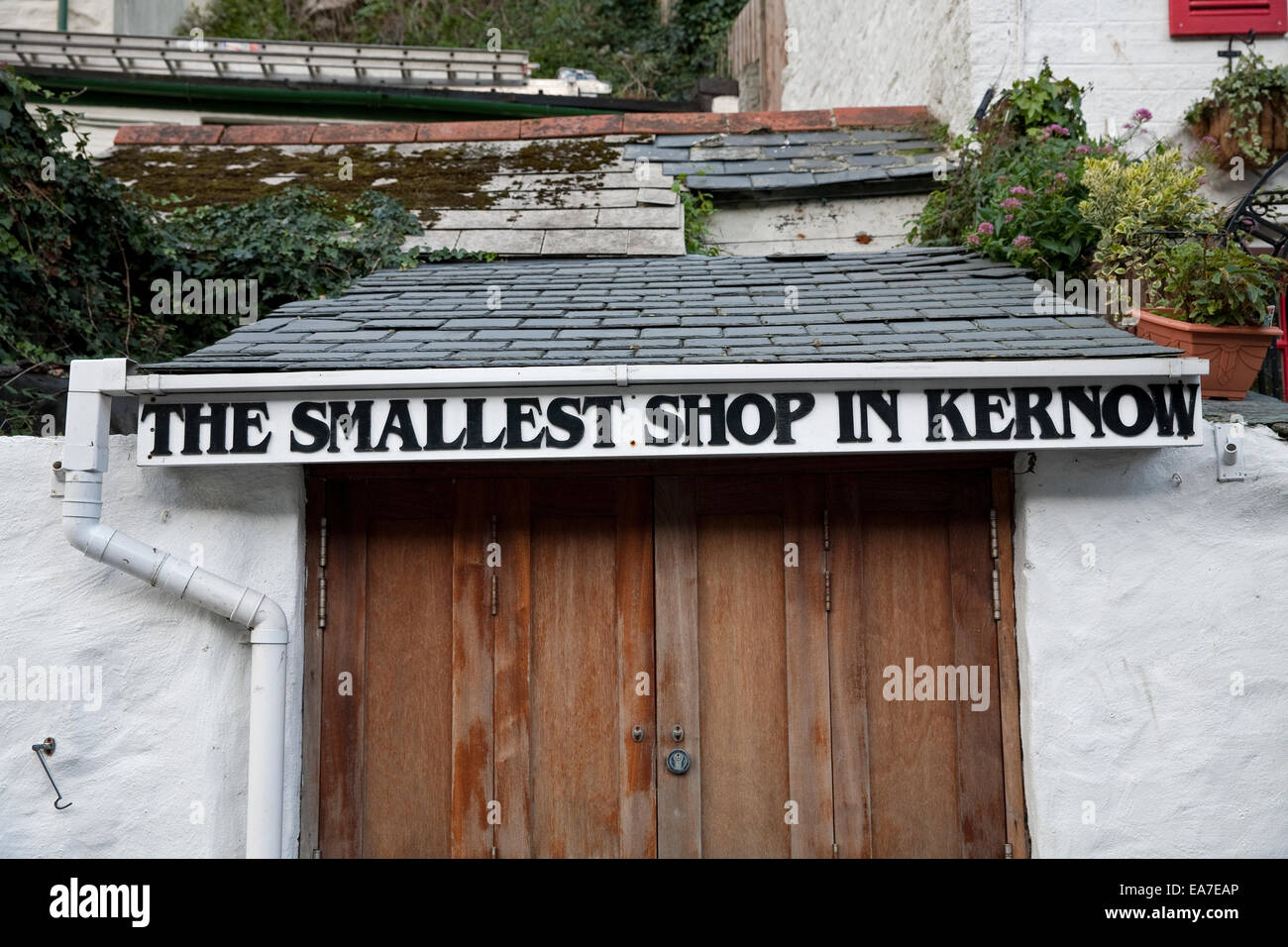 The smallest shop in Kernow Cornwall Stock Photo - Alamy