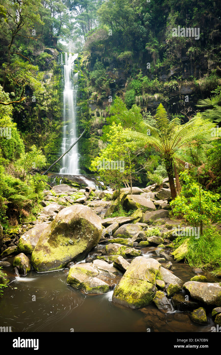 Erskine Falls waterfall in the Otways National Park along the Great ...