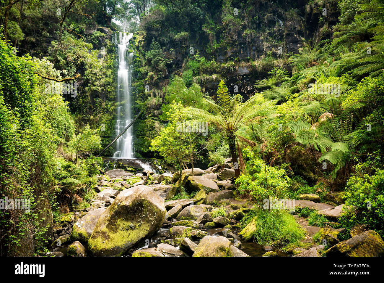 Erskine Falls waterfall in the Otways National Park along the Great ...