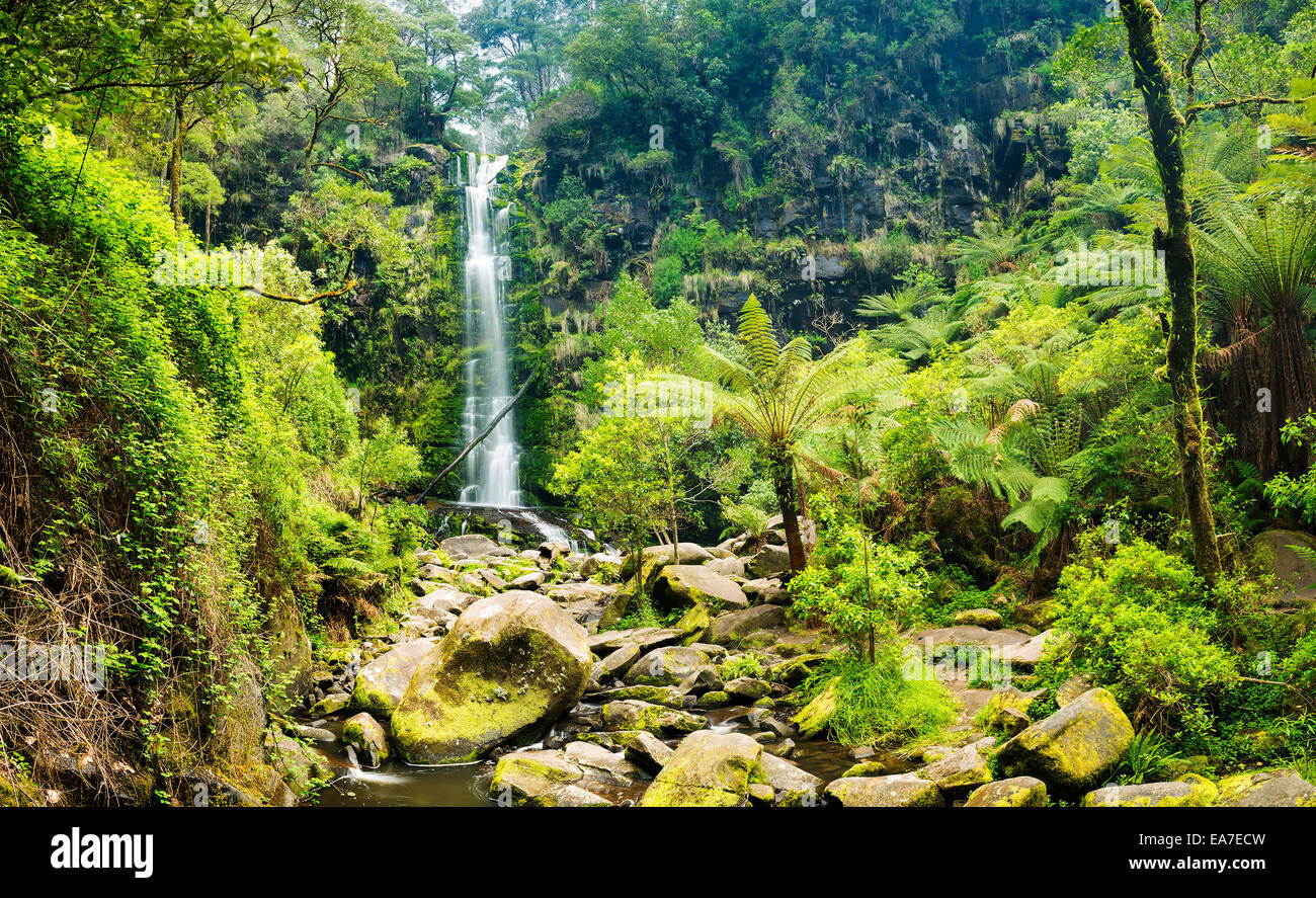 Erskine Falls waterfall in the Otways National Park along the Great ...