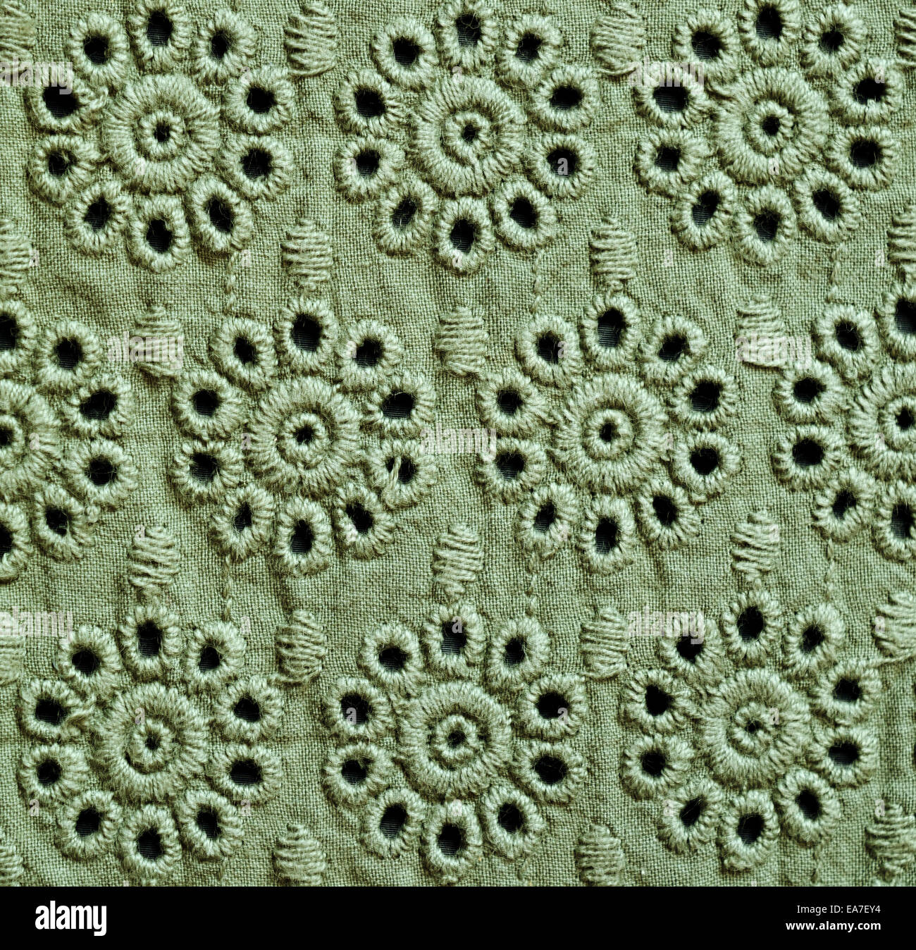 Green embroidered fabric with floral pattern Stock Photo - Alamy