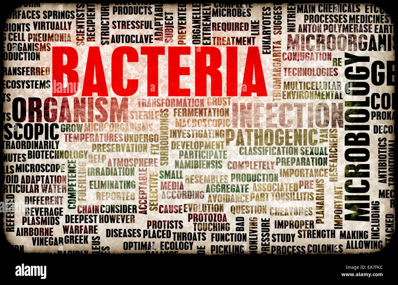 Bacteria and Hygiene Infection as a Concept Stock Photo - Alamy