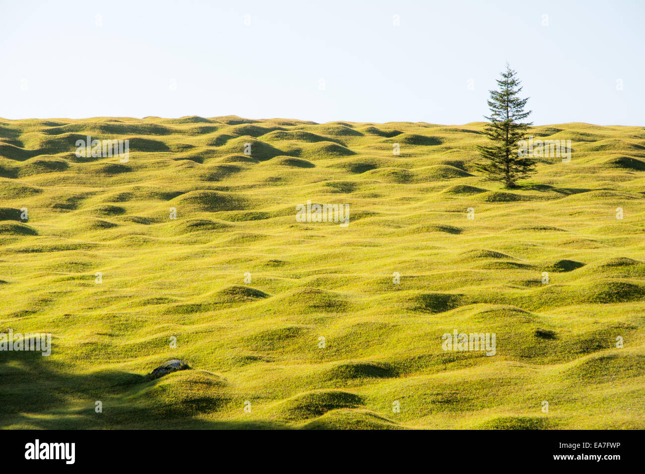 Hummocky hi-res stock photography and images - Alamy