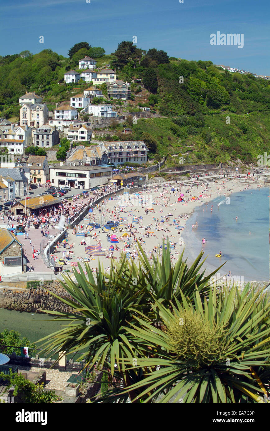 Elivated view of East Looe beach from West Looe Caradon South East ...