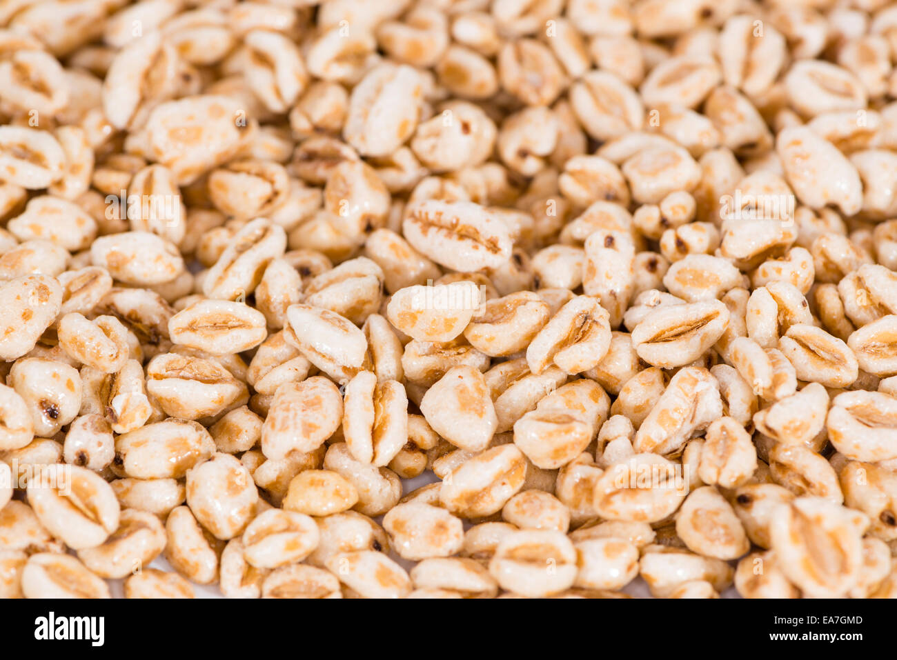 Portion of puffed wheat for use as background image or as texture Stock ...