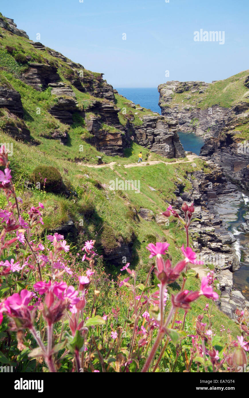 Boscastle cornwall england hi-res stock photography and images - Alamy