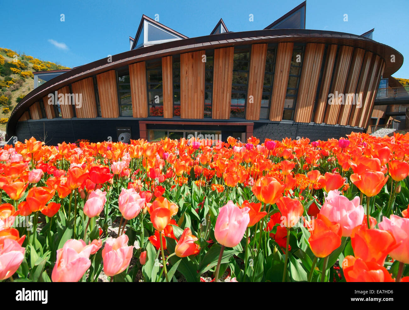 Eden project core building hi-res stock photography and images - Alamy