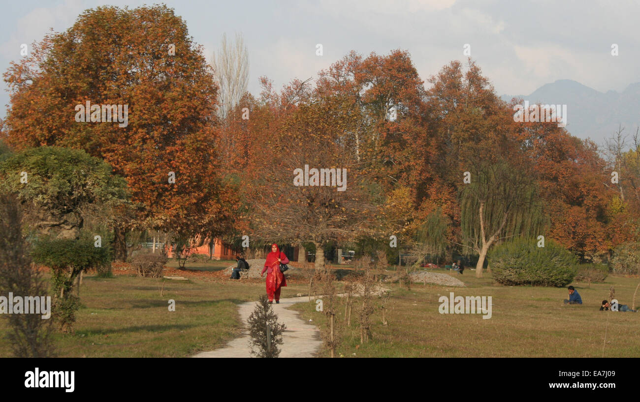 Shalimar gardens kashmir hi-res stock photography and images - Alamy