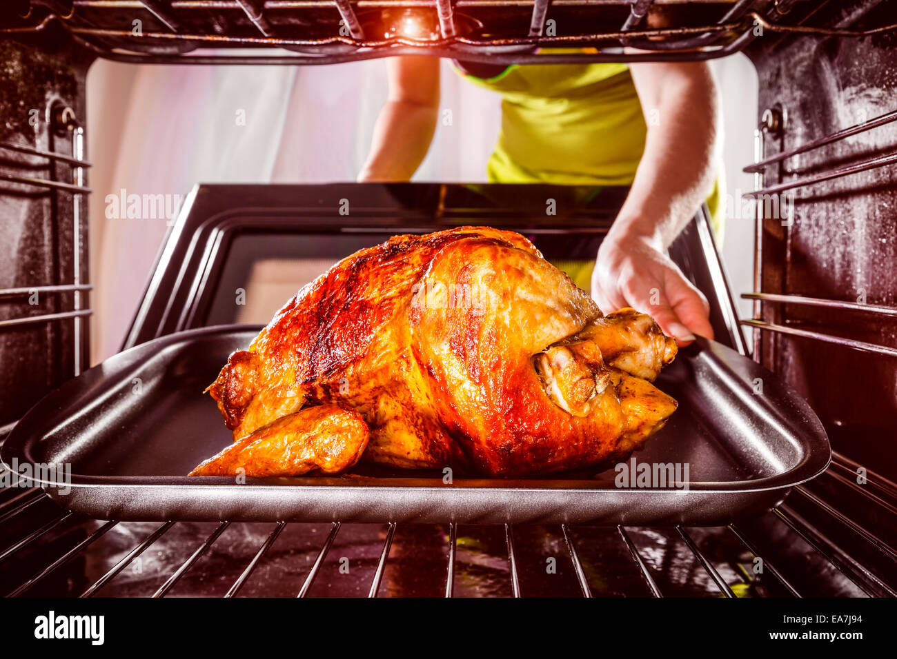 Housewife prepares roast chicken in the oven, view from the inside of ...