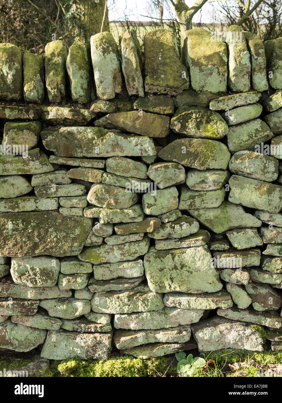 dry stone wall,derbyshire,uk Stock Photo - Alamy