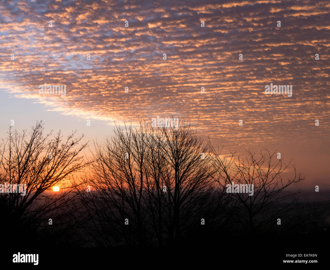 Beauty sunset sky hi-res stock photography and images - Alamy