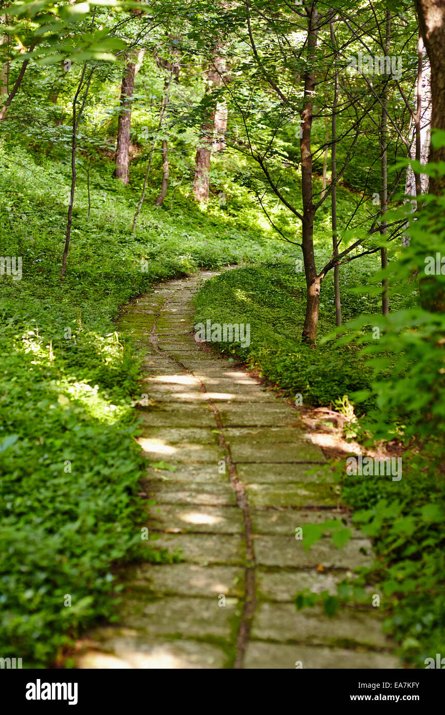 Stone paved alley in a park with selective focus Stock Photo - Alamy
