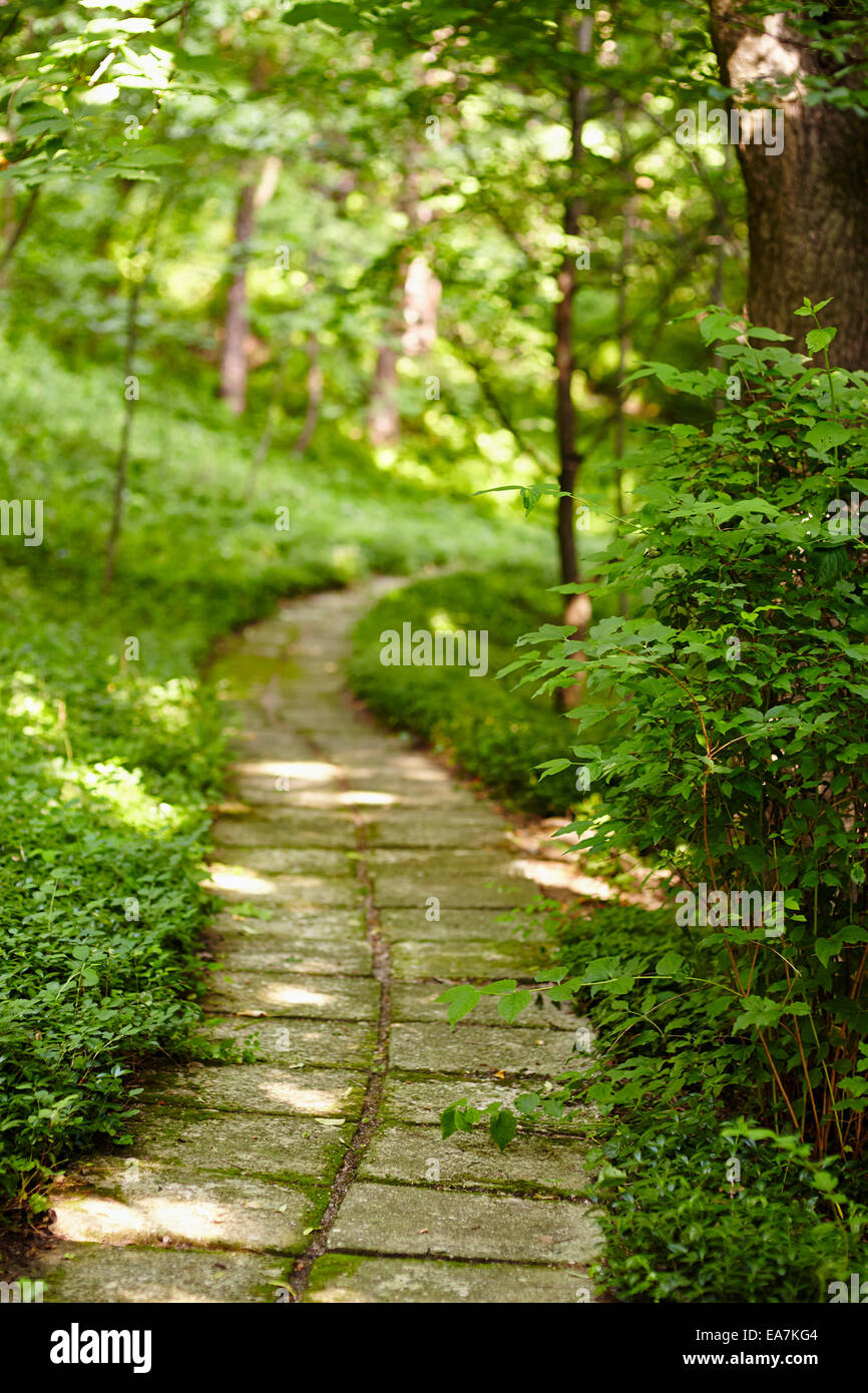 Stone paved alley in a park with selective focus Stock Photo - Alamy