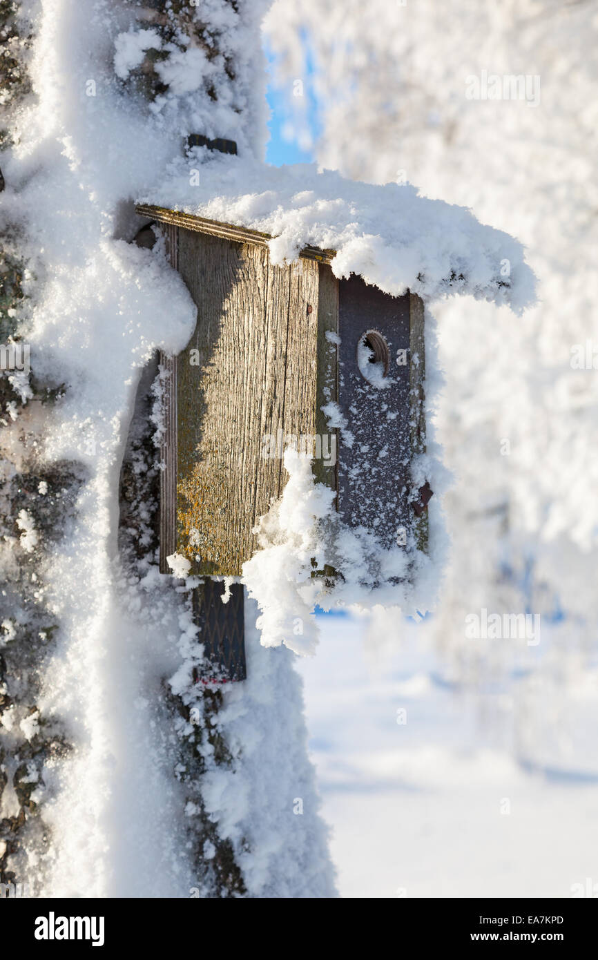 Bird house on a tree trunk with snow Stock Photo - Alamy