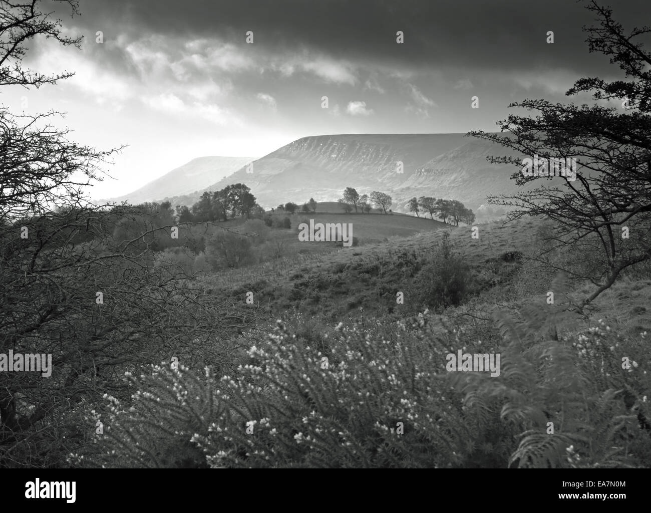 The Hatterall Ridge of the Black Mountains in Autumnal morning sunlight ...