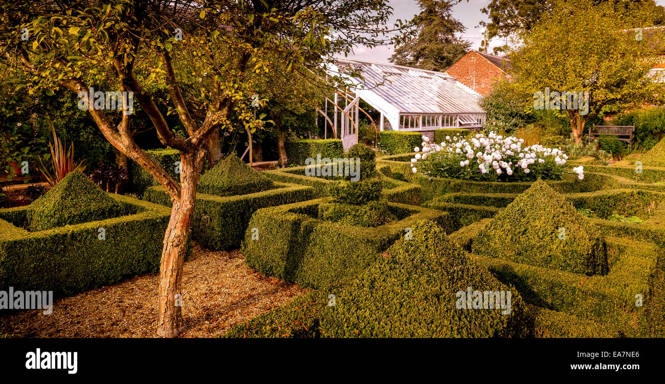 Box hedging and roses hi-res stock photography and images - Alamy