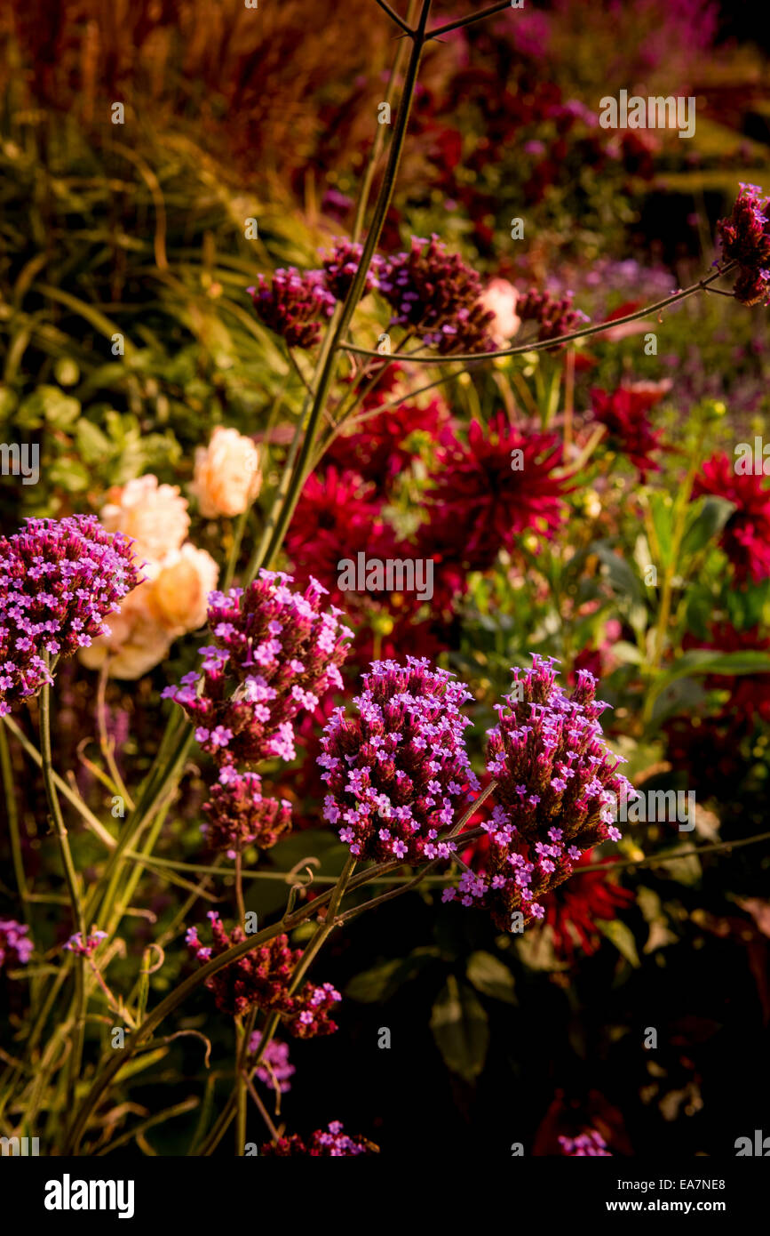 The garden of composer Ned Bigham at his West Sussex home - Bignor Park ...