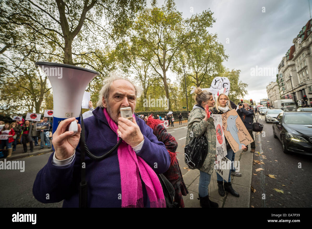 London, UK. 7th Nov, 2014. Protest against Taiji Dolphin slaughter ...