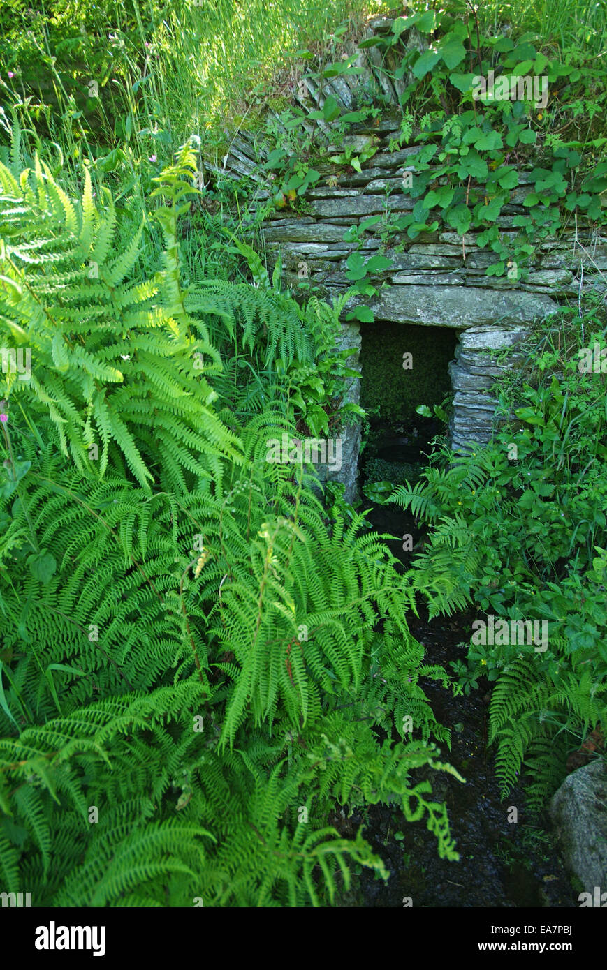 St nonna's well hi-res stock photography and images - Alamy