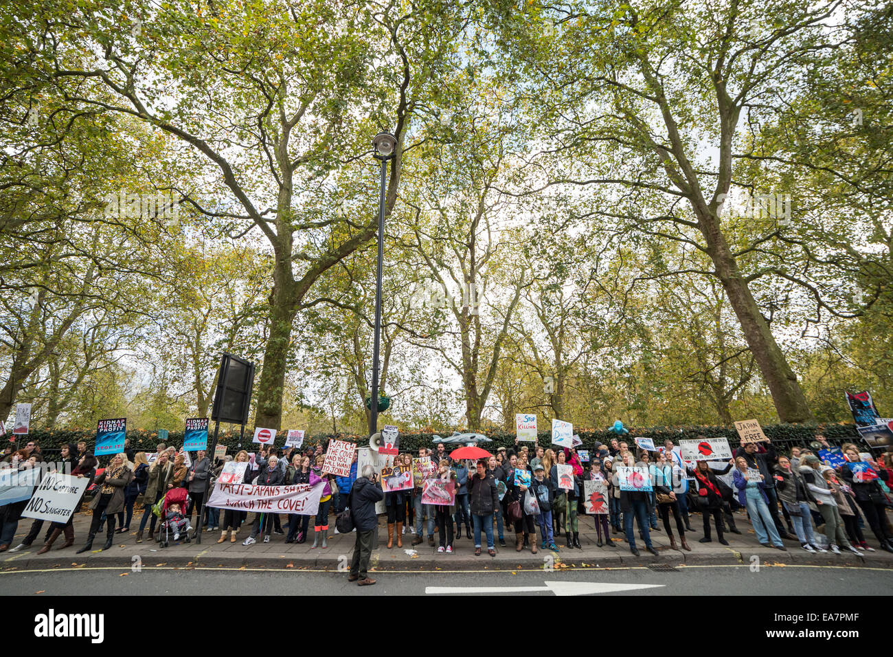 London, UK. 7th Nov, 2014. Protest against Taiji Dolphin slaughter ...