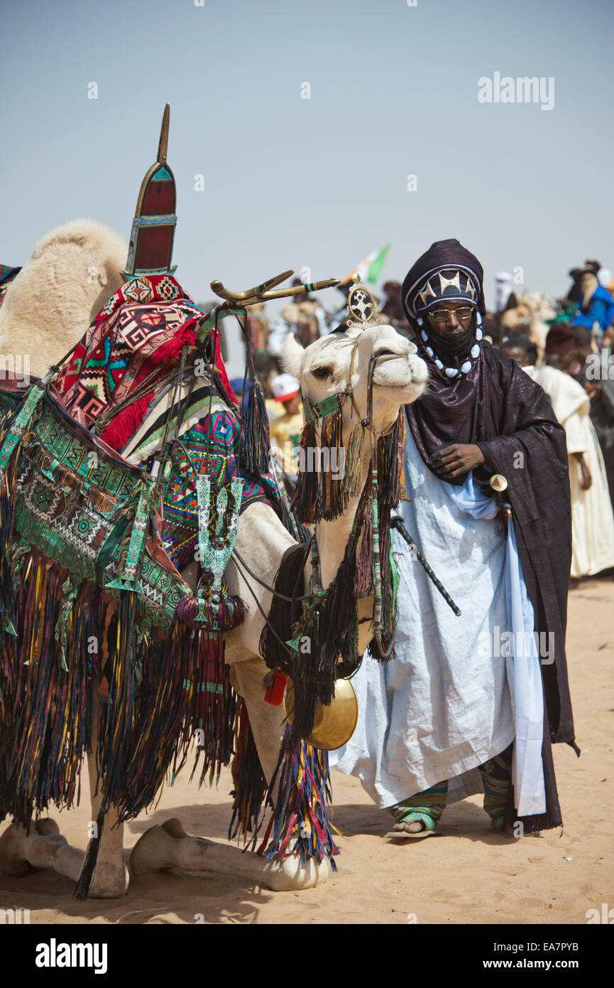 Touareg nomads in camel dressage contest - the Cure Salée festival ...