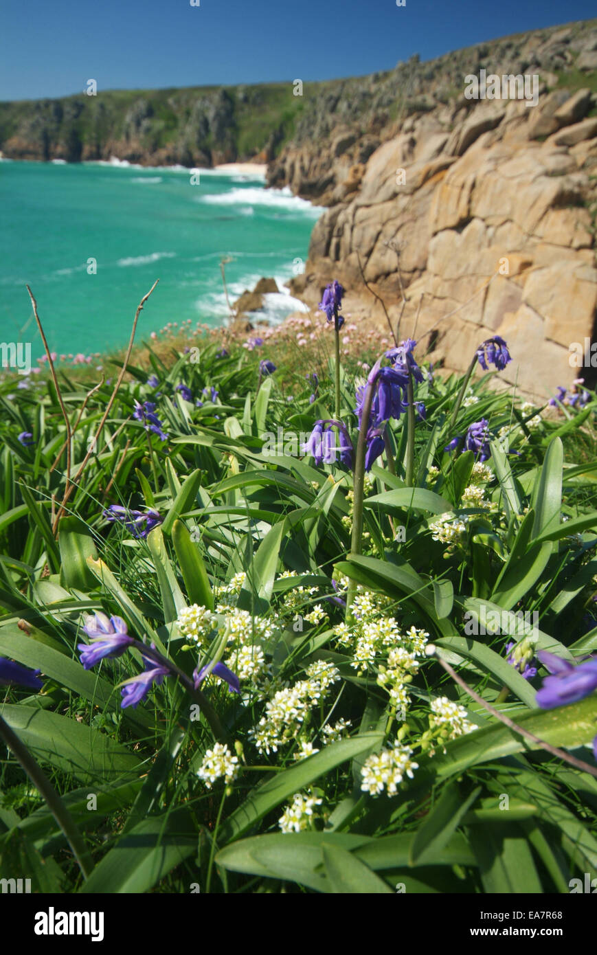Treen cove hi-res stock photography and images - Alamy