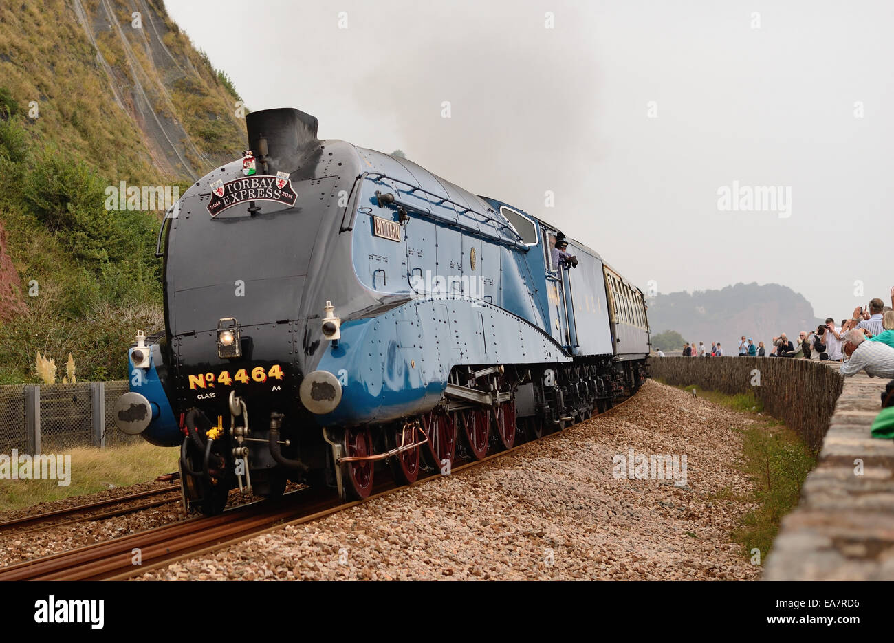 LNER class A4 Pacific No 4464 Bittern hauling the Torbay Express ...