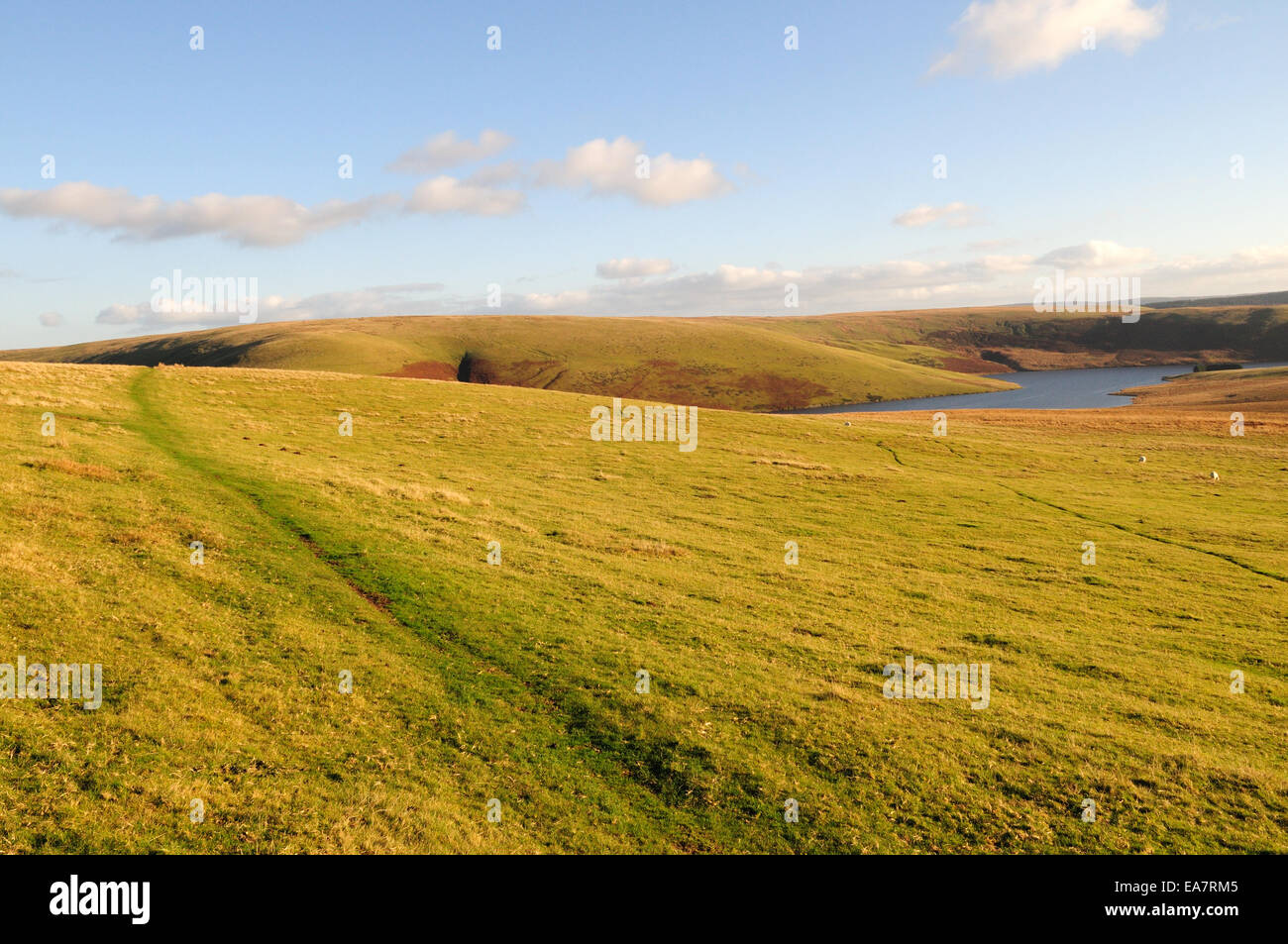 Monks trod hi-res stock photography and images - Alamy