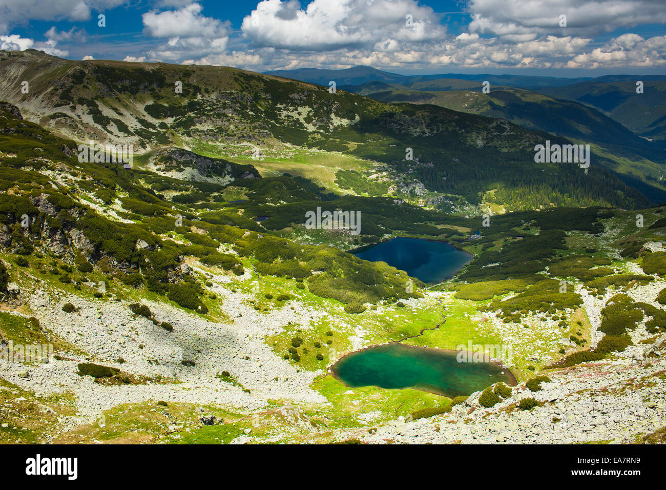 Summer alpine landscape with lake Calcescu in Romanian Parang mountains ...