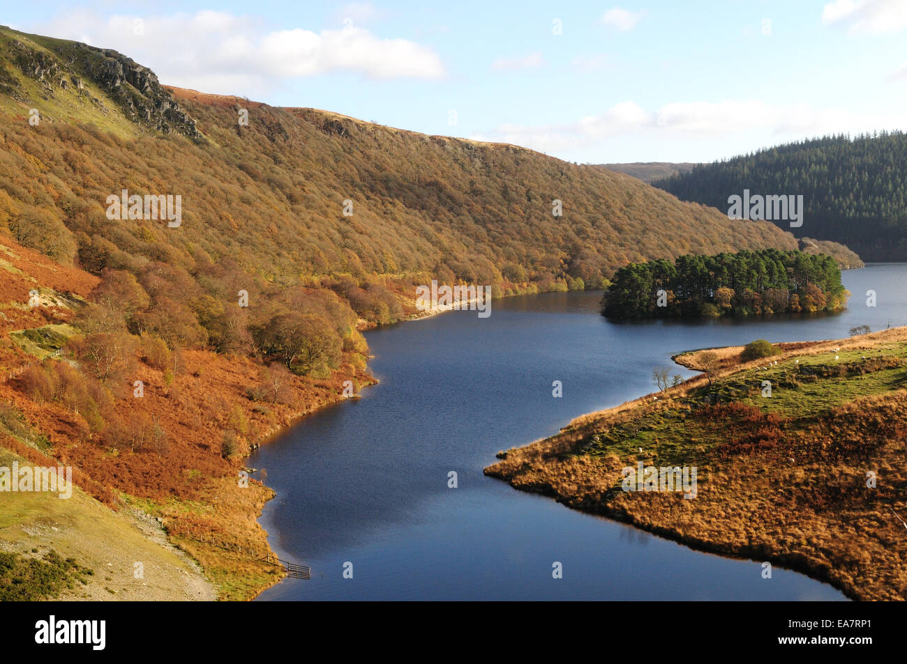 Pen island hi-res stock photography and images - Alamy