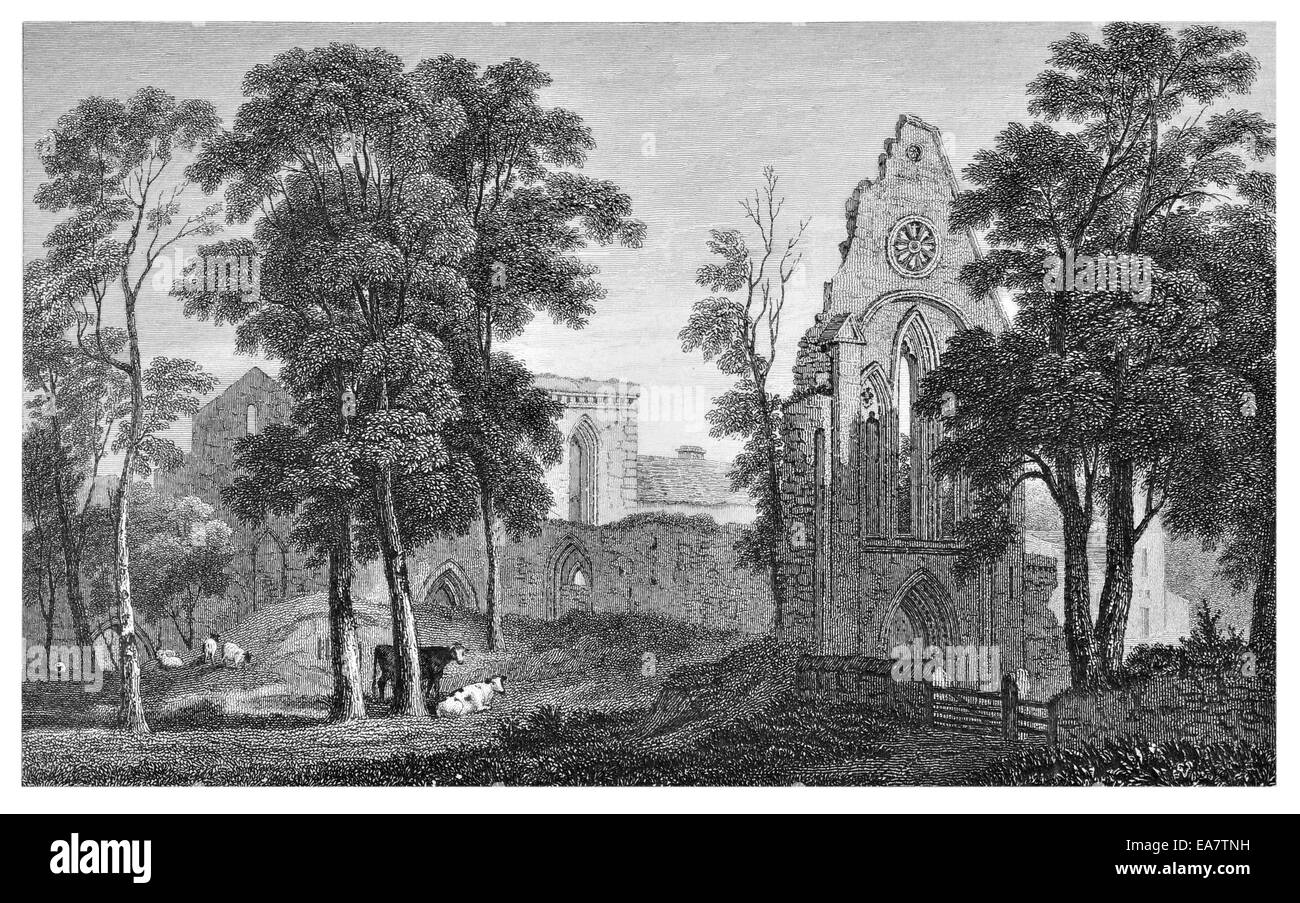 Valle Crucis Abbey near Llangollen circa 1830 Stock Photo - Alamy