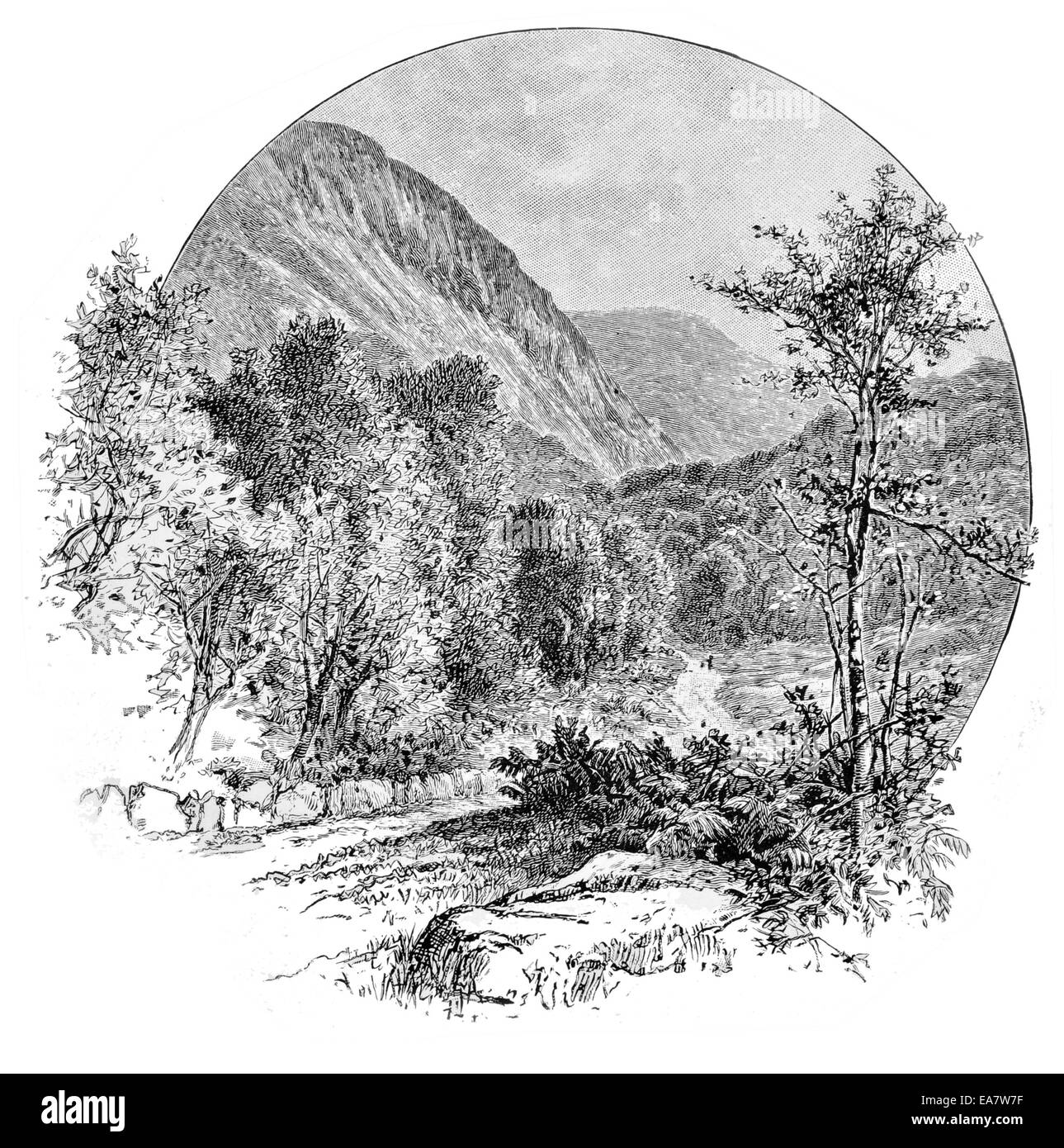 The Aber Valley Caernarvonshire Coedydd Aber National Nature Reserve in ...